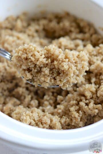 Easy Basic Slow Cooker Quinoa Recipe • Slow Cooked Eats