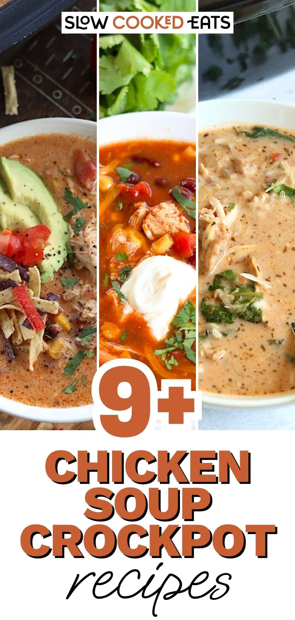9+ Must-Make Crockpot Chicken Soup Recipes • Slow Cooked Eats